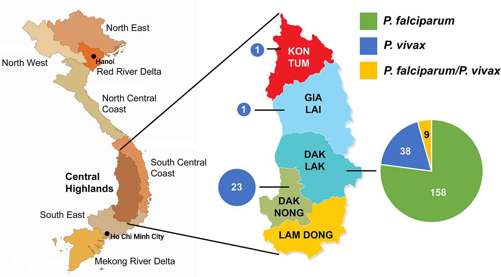 Malaria in Vietnam: What Travellers Need to Know + Malaria Map » Chapi ...